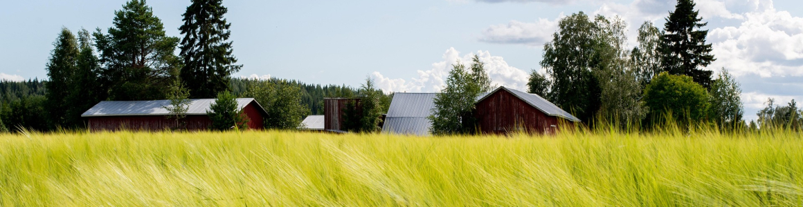 Terrain constructible définition : Comprendre les enjeux et les ...